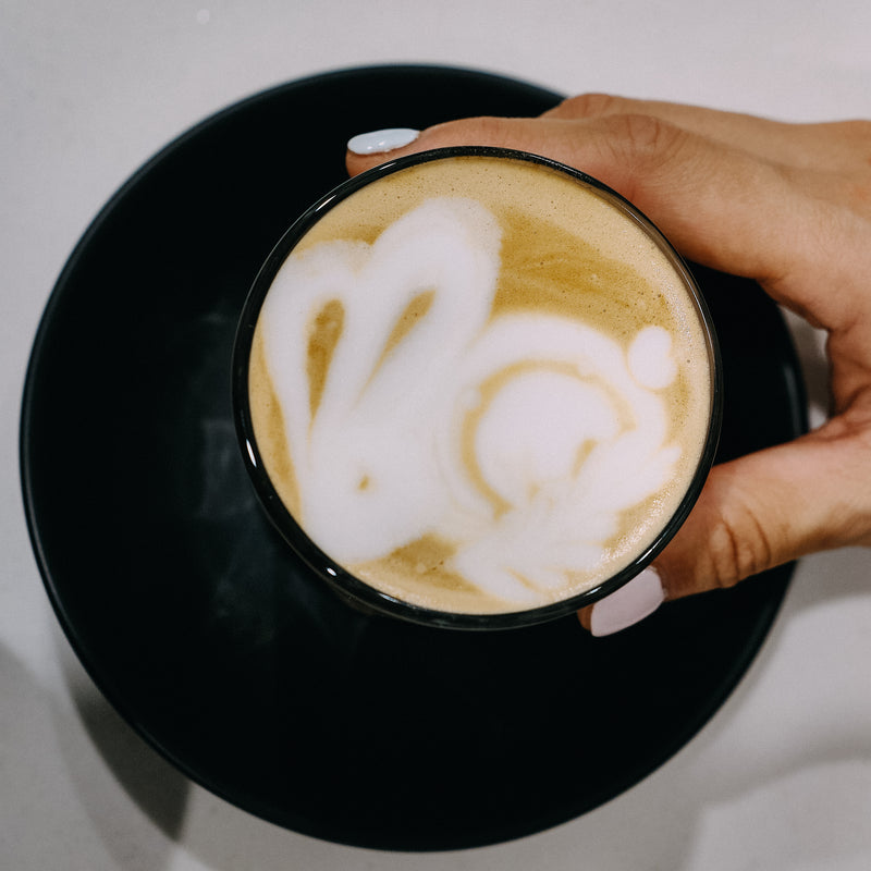 Dtown Coffee Roasters – DTOWN COFFEE ROASTERS